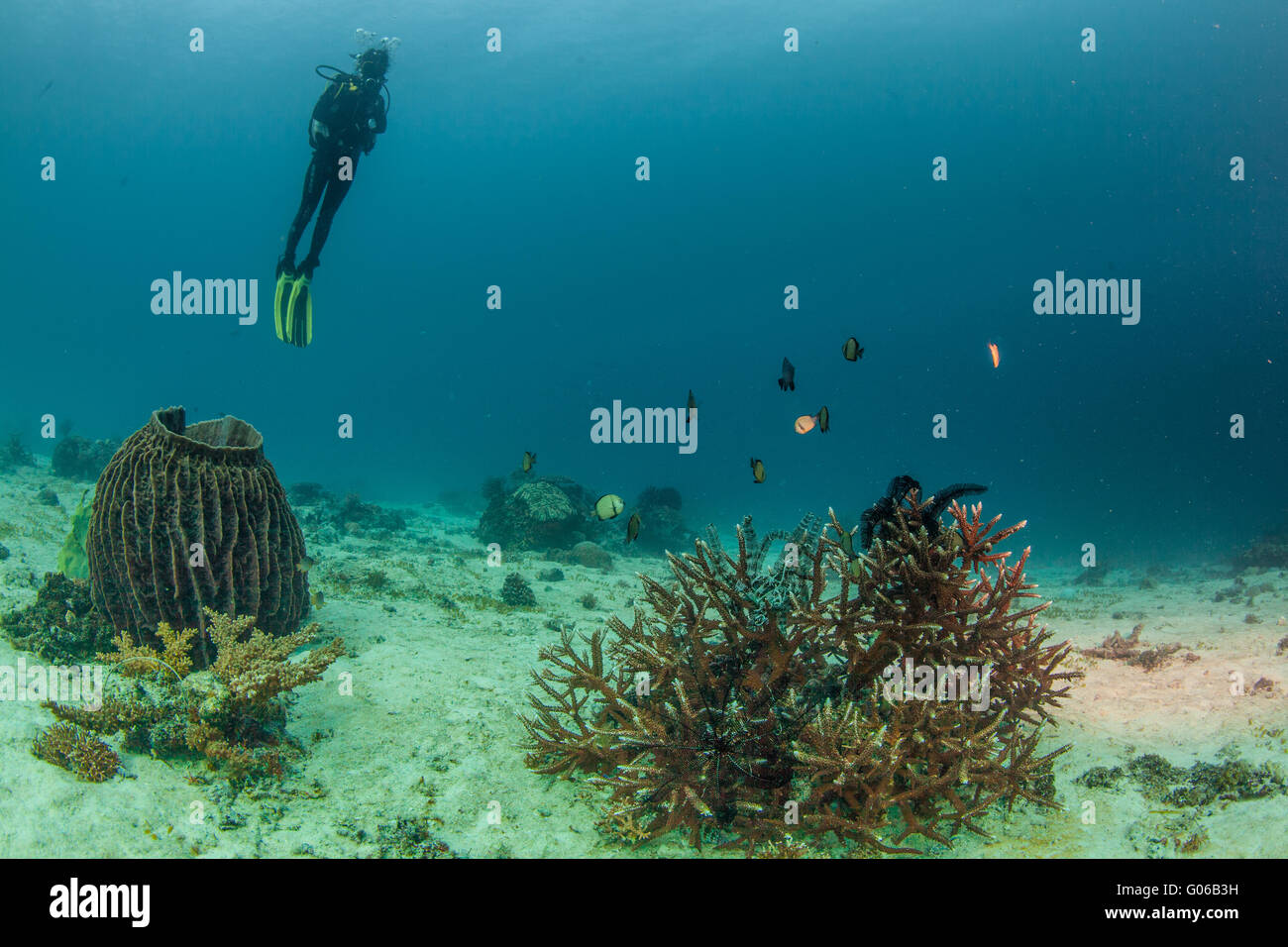 Sparse environment hi-res stock photography and images - Alamy