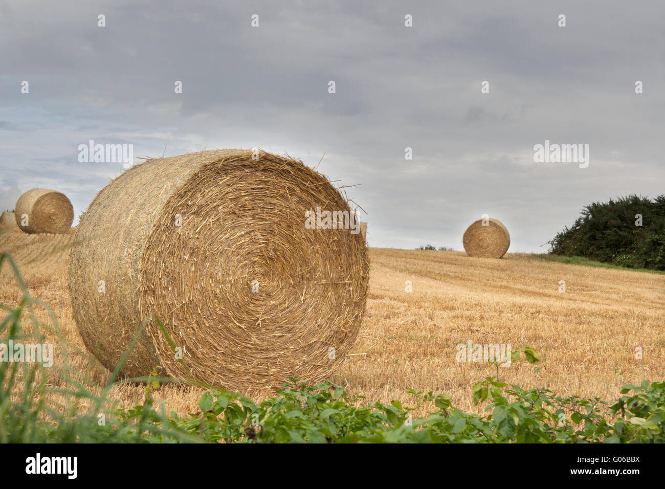 Earth bale hi-res stock photography and images - Alamy