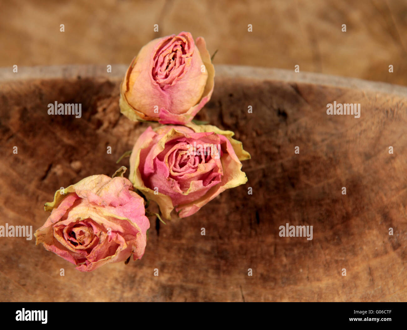 nostalgia roses still-life Stock Photo - Alamy