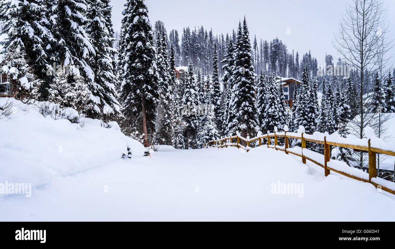 Snowpack hi-res stock photography and images - Alamy