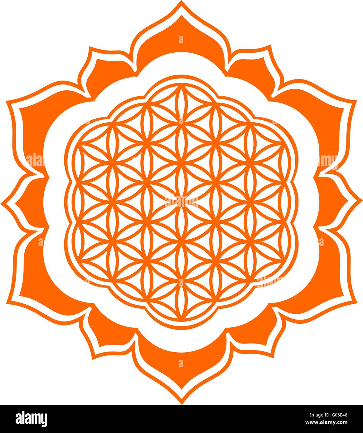 Flower of life - Lotus flower Stock Photo - Alamy