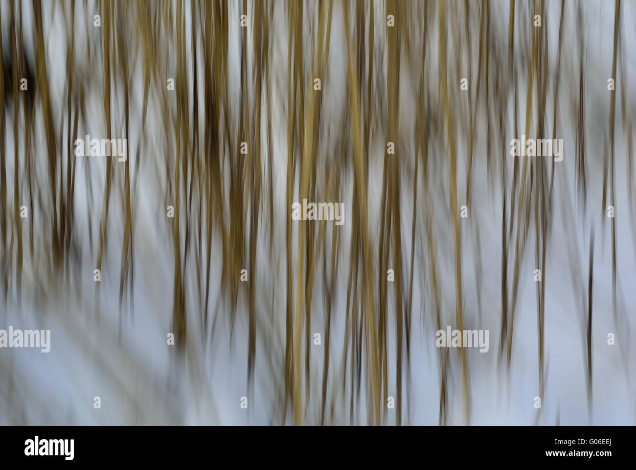 Reed lines hi-res stock photography and images - Alamy