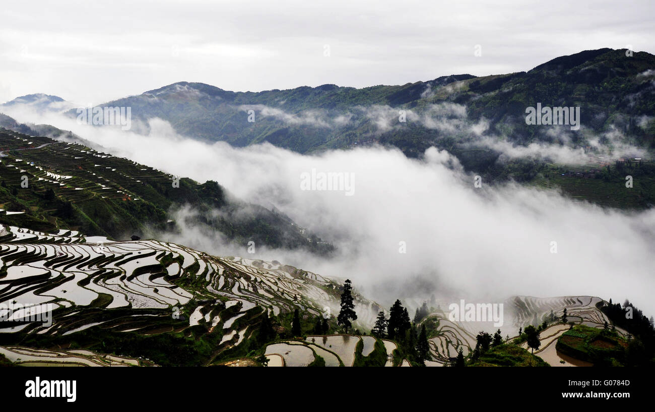 Chaofu hi-res stock photography and images - Alamy