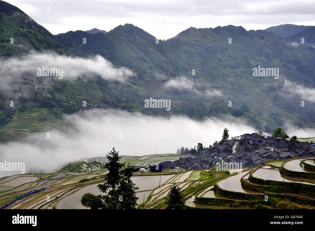 Chaofu hi-res stock photography and images - Alamy