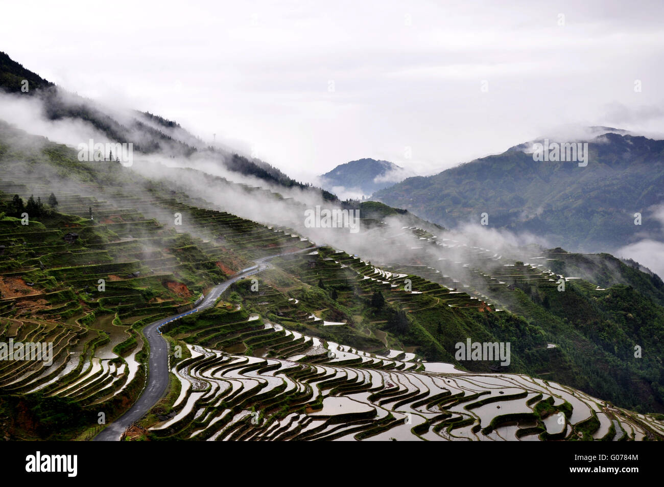 Chaofu hi-res stock photography and images - Alamy