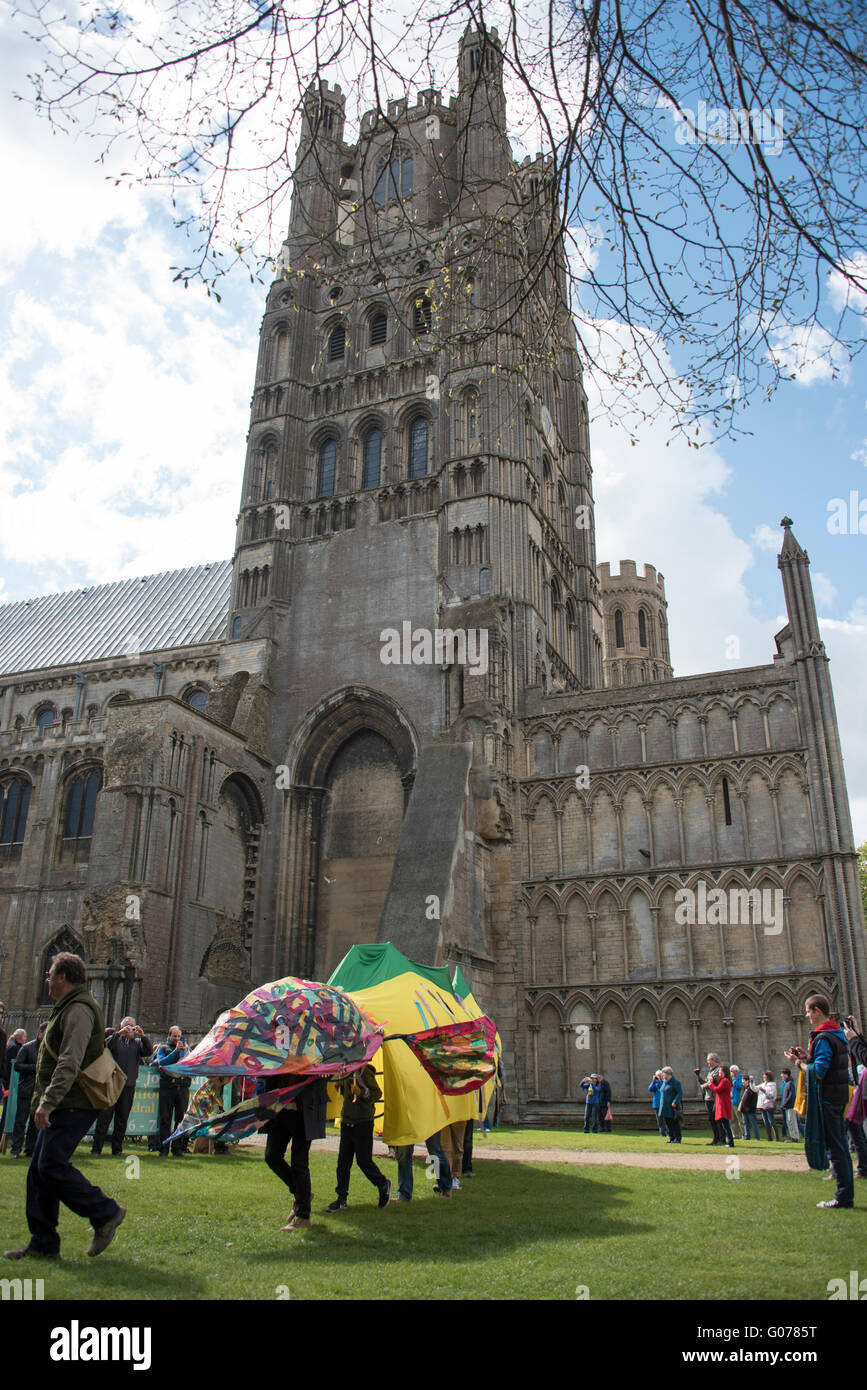 Giant eel uk hi-res stock photography and images - Alamy