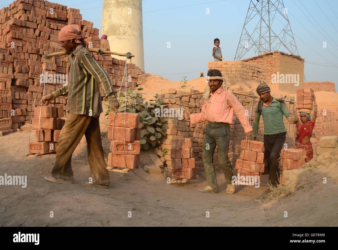 Labours of the year may hi-res stock photography and images - Alamy