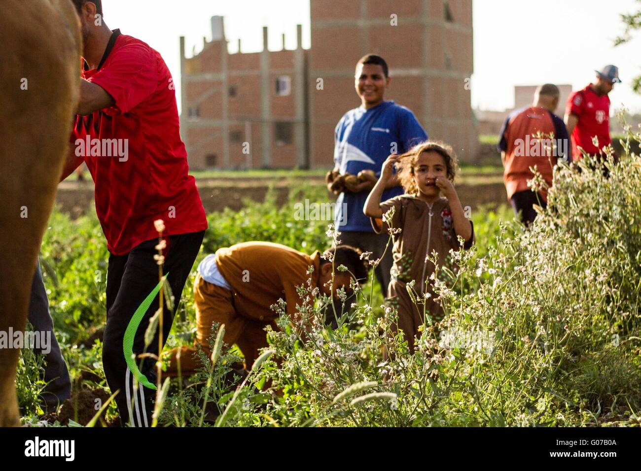 Warraq Island, Giza, Egypt. 30th Apr, 2016. The children are helping ...