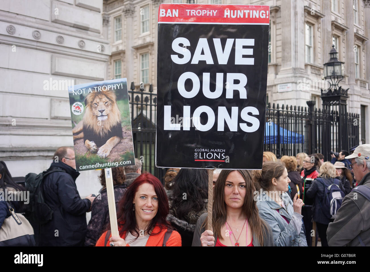 Virginia mckenna lion hi-res stock photography and images - Alamy