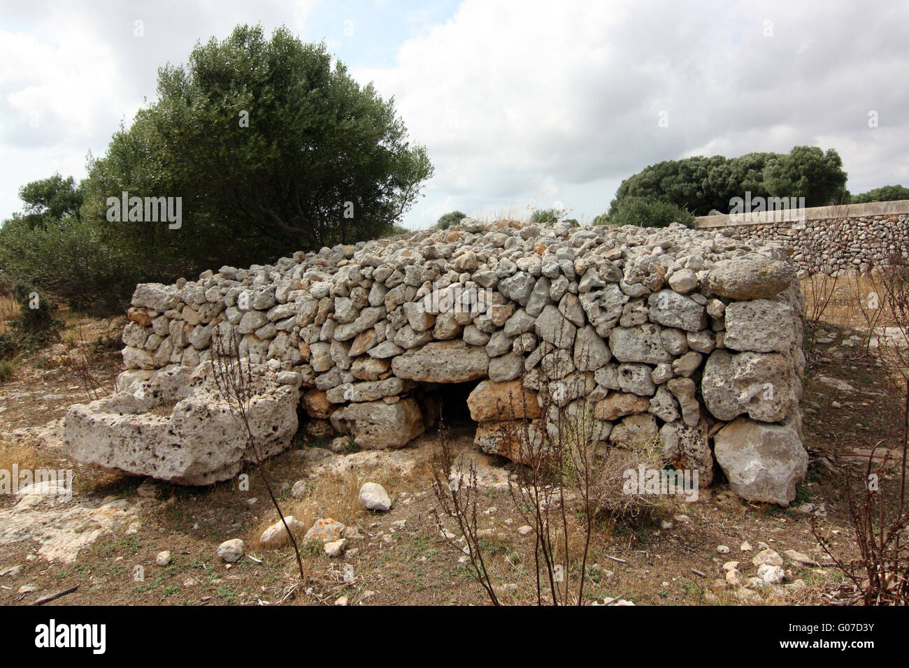 Son catlar menorca hi-res stock photography and images - Alamy