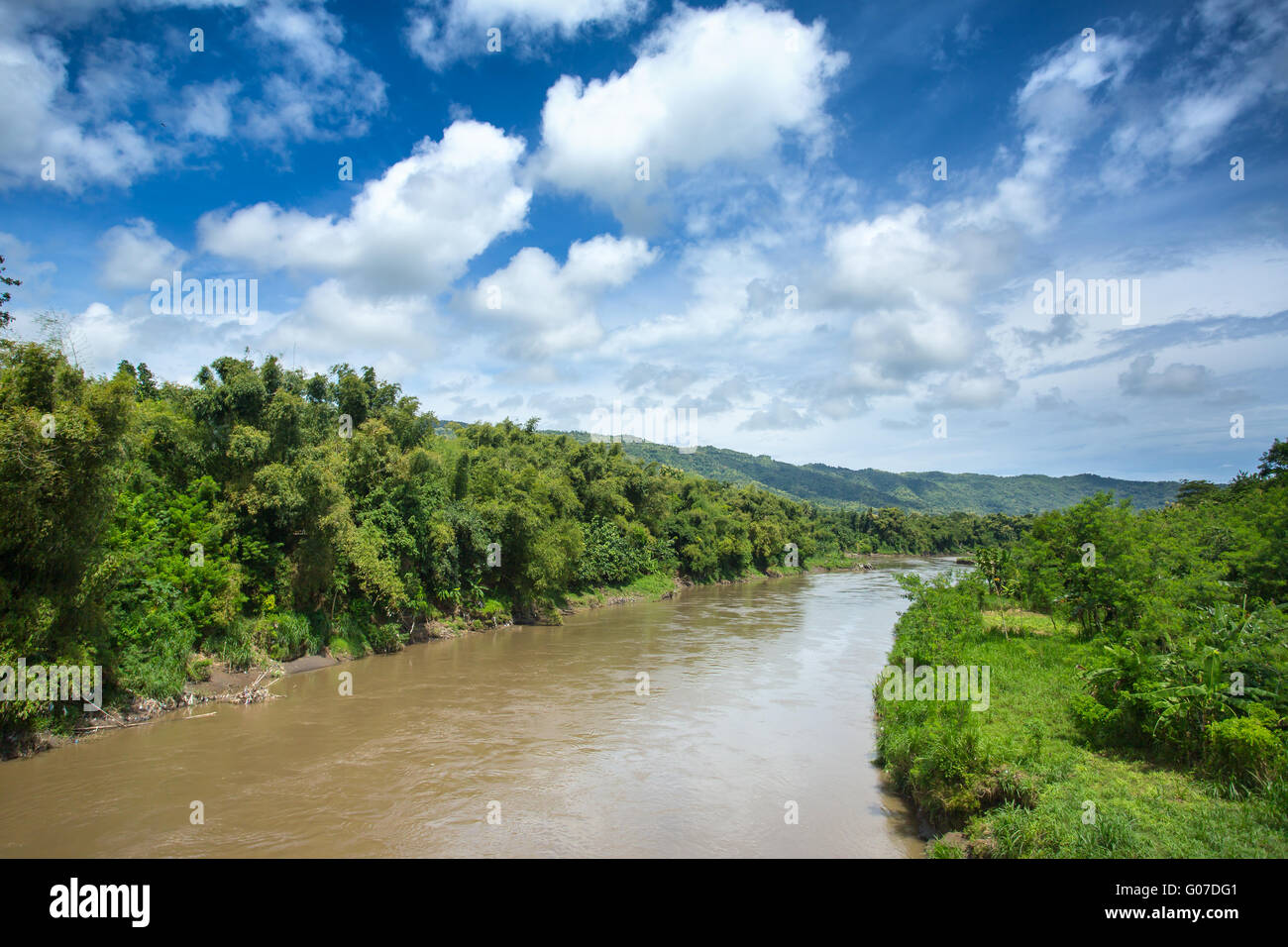 Sumatra forest hi-res stock photography and images - Alamy