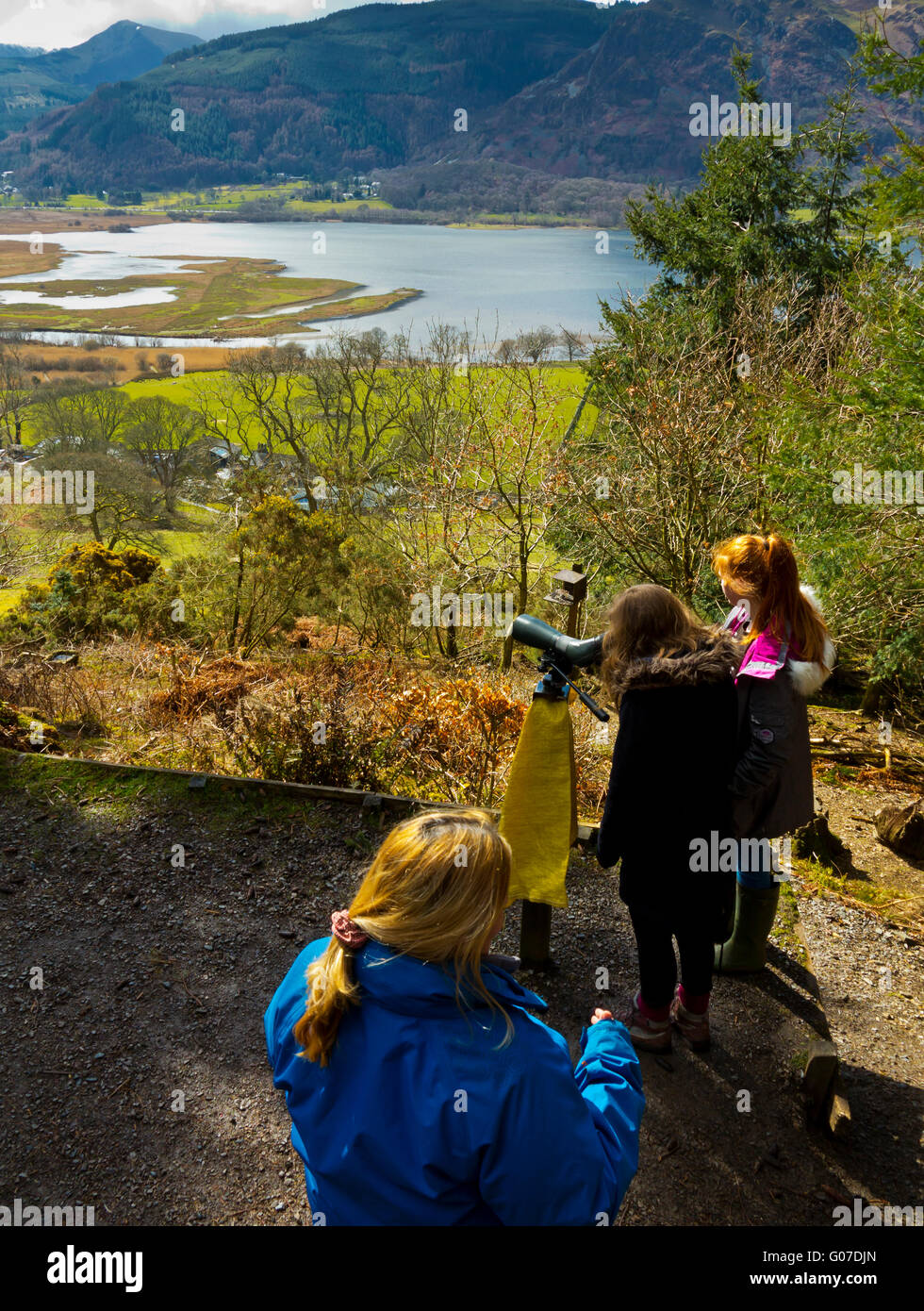 The dodd osprey hi-res stock photography and images - Alamy