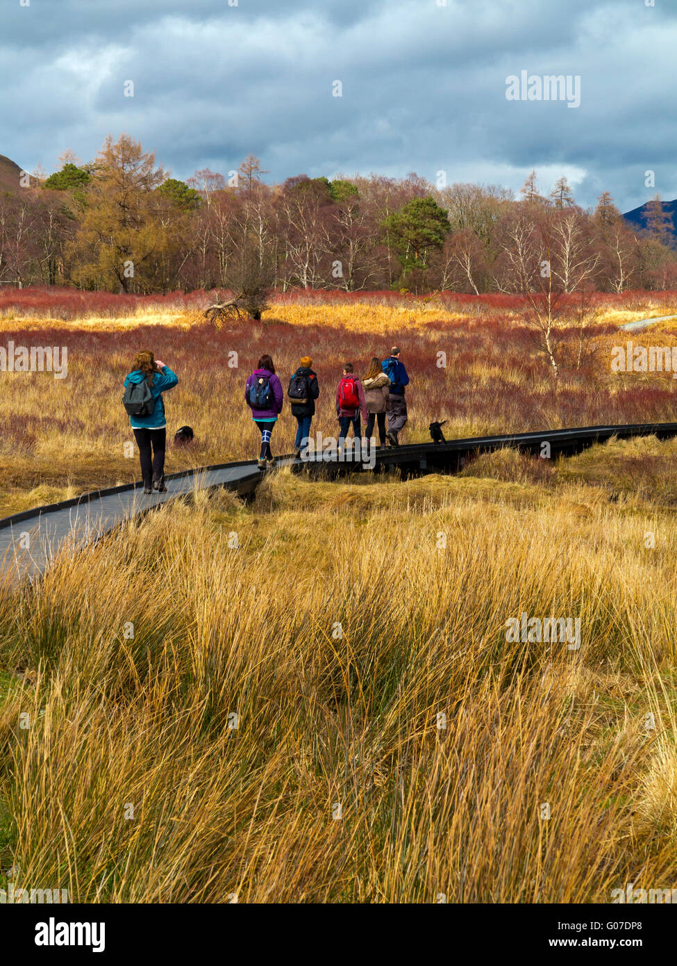 Winter walkers at Manesty Park next to Derwentwater near Keswick in the ...