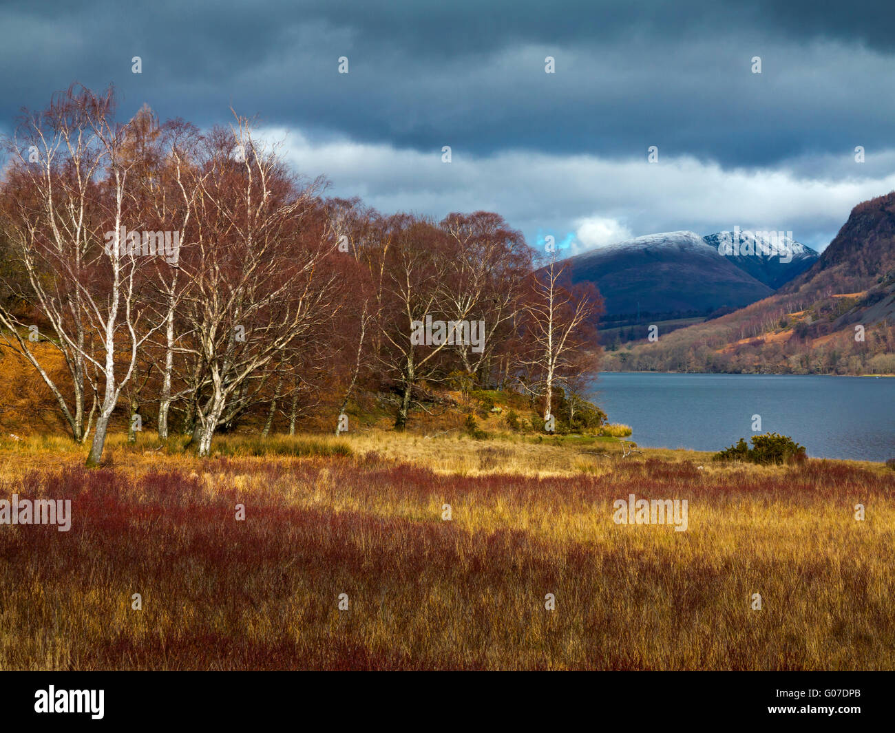 Winter landscape at Manesty Park next to Derwentwater near Keswick in ...