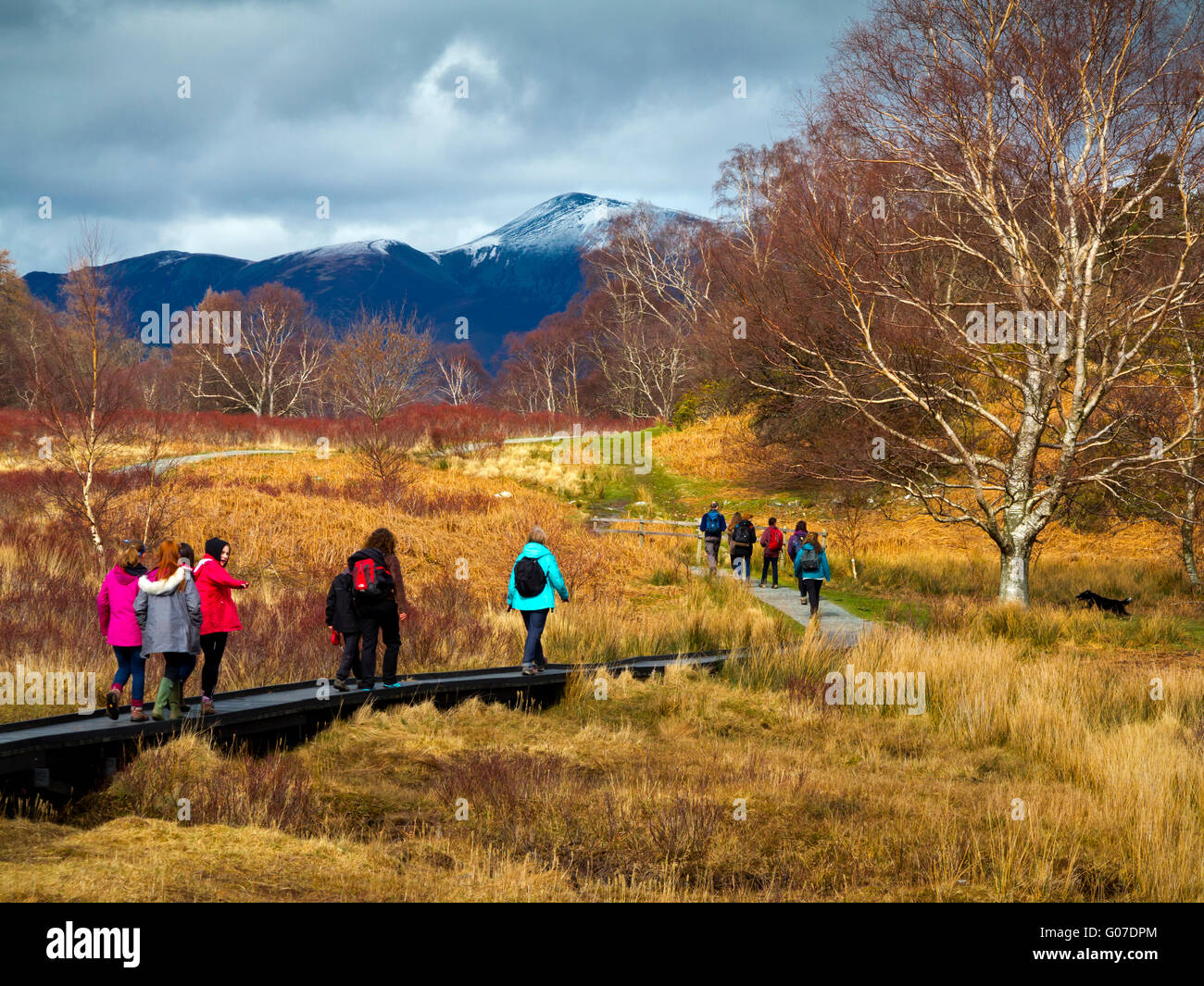 Winter walkers at Manesty Park next to Derwentwater near Keswick in the ...