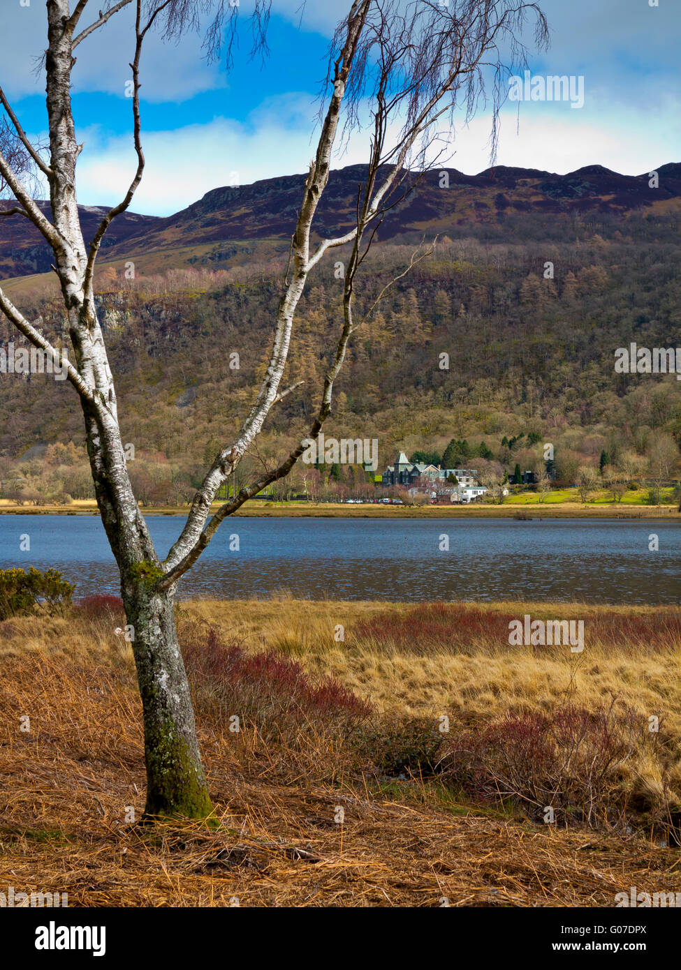 Manesty hi-res stock photography and images - Alamy