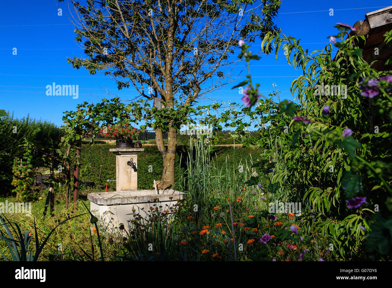 the perfect garden Stock Photo - Alamy