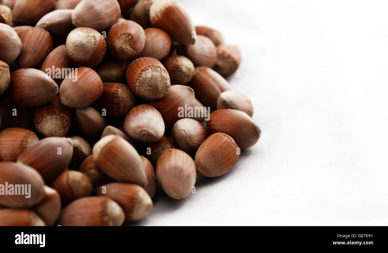 Hazelnut close up isolated on white background Stock Photo - Alamy