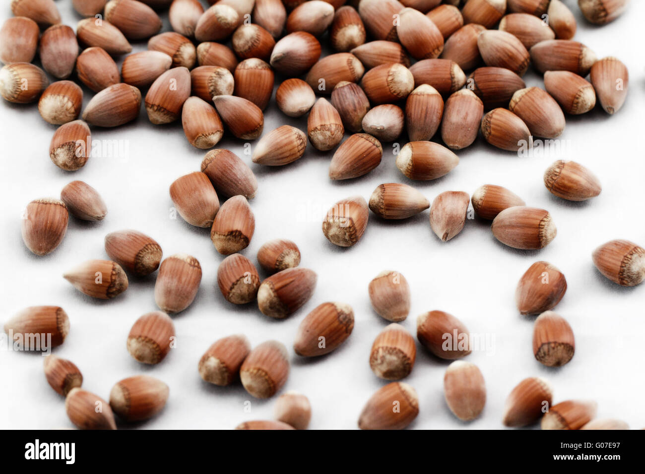 Hazelnut close up isolated on white background Stock Photo - Alamy