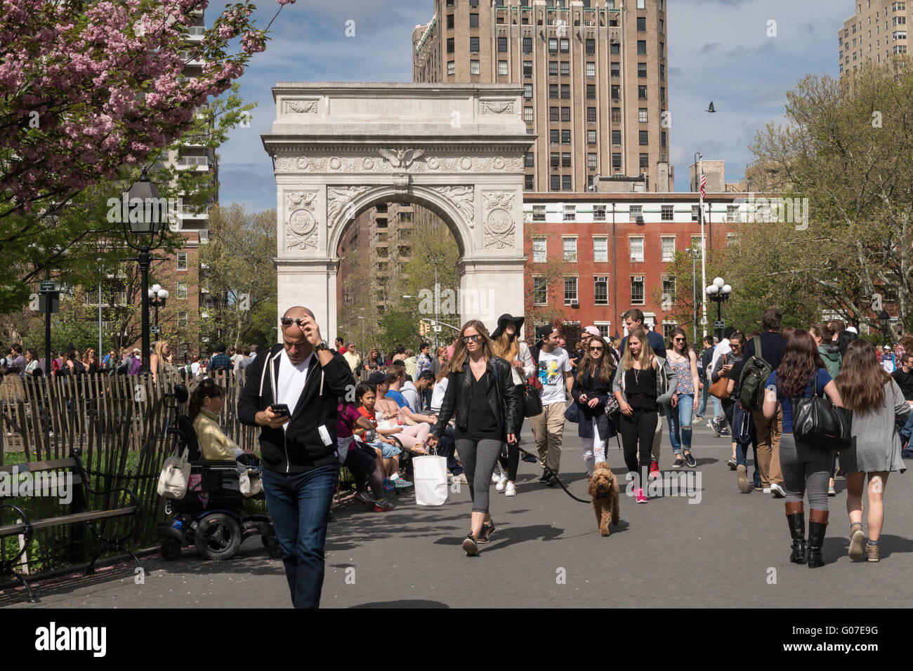 Springtime, Washington Square Park, NYC Stock Photo - Alamy