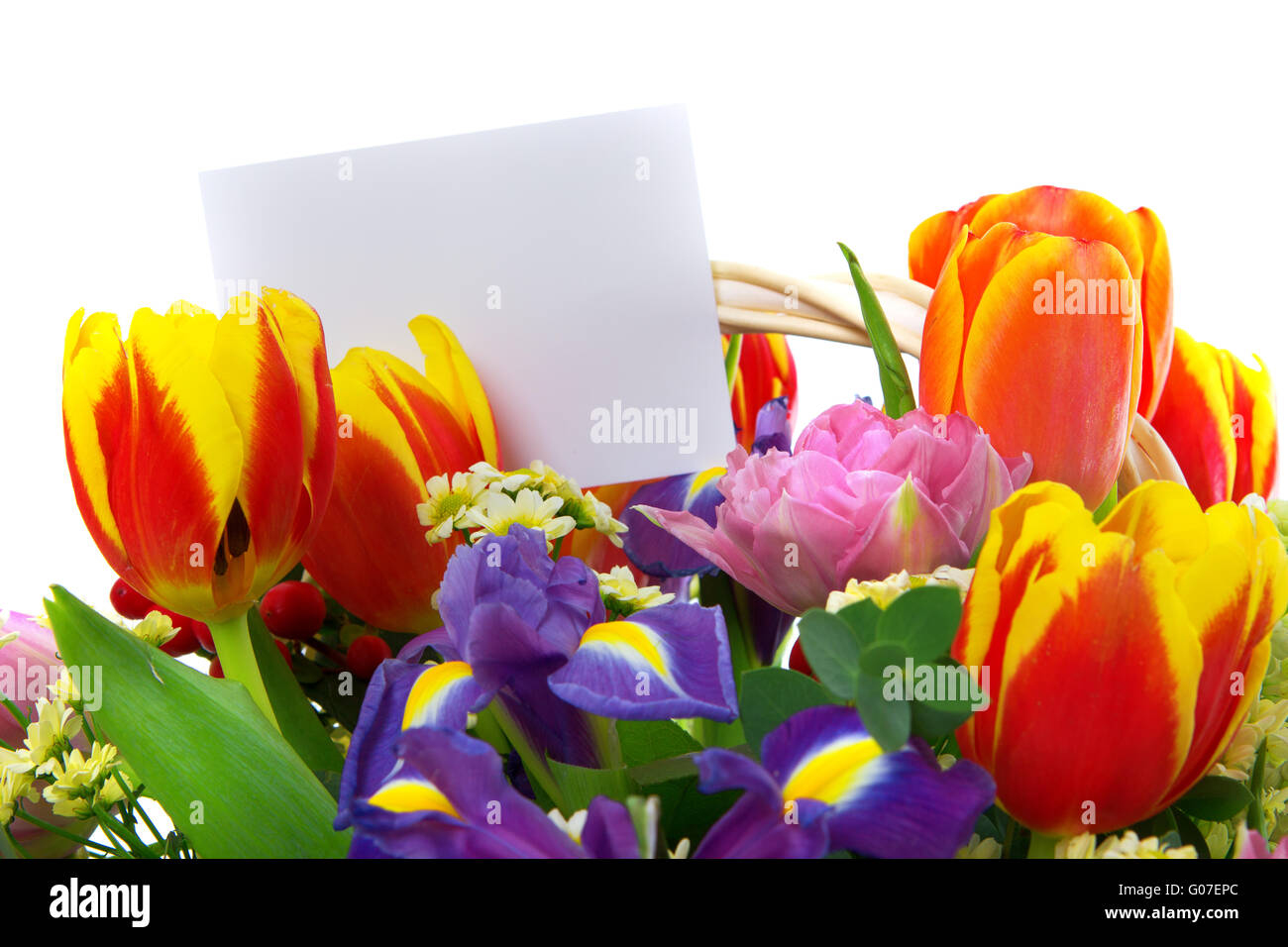 Colourfull flowers isolated on white background Stock Photo - Alamy
