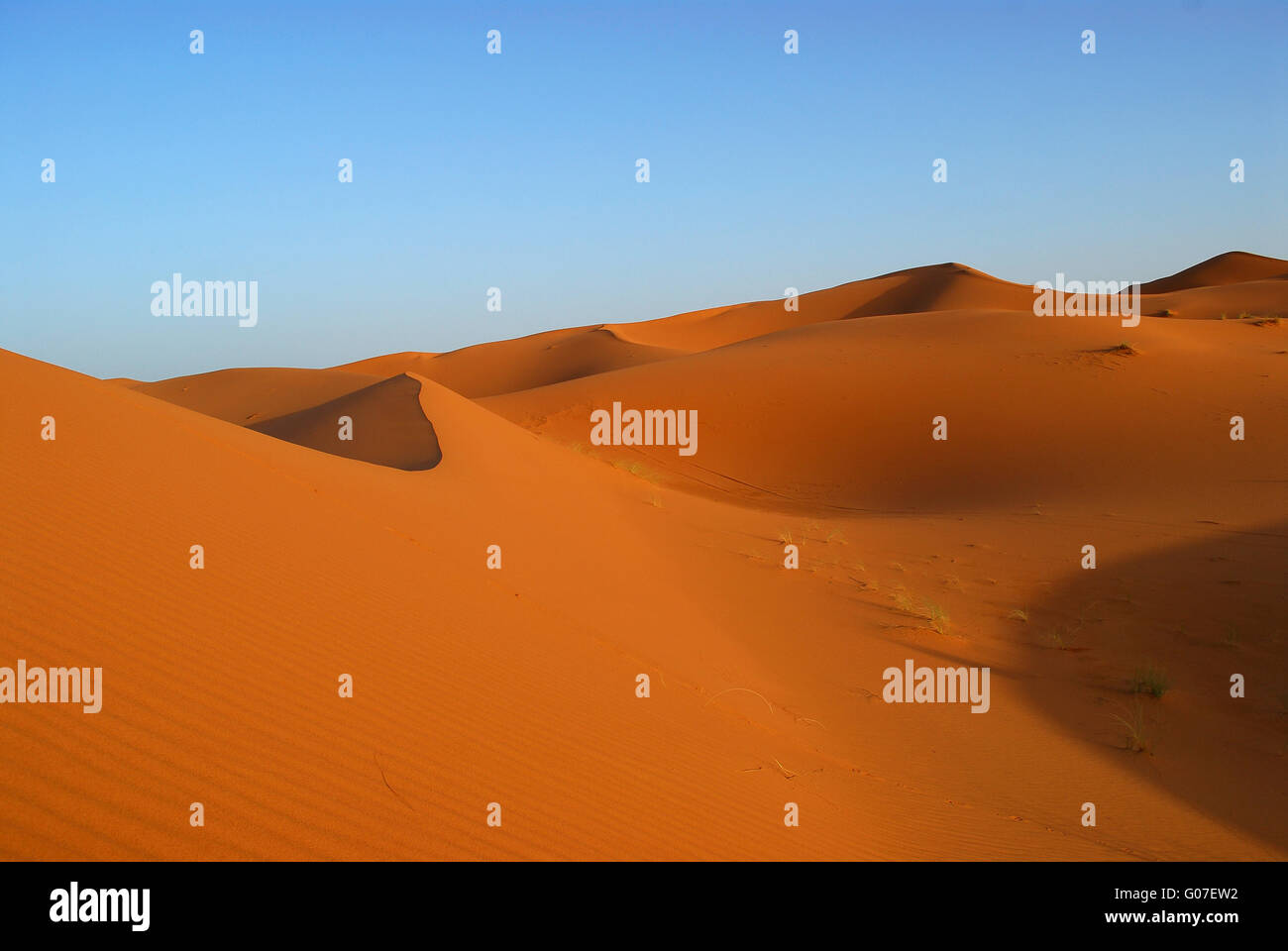 Dunes of Sahara Desert Stock Photo - Alamy