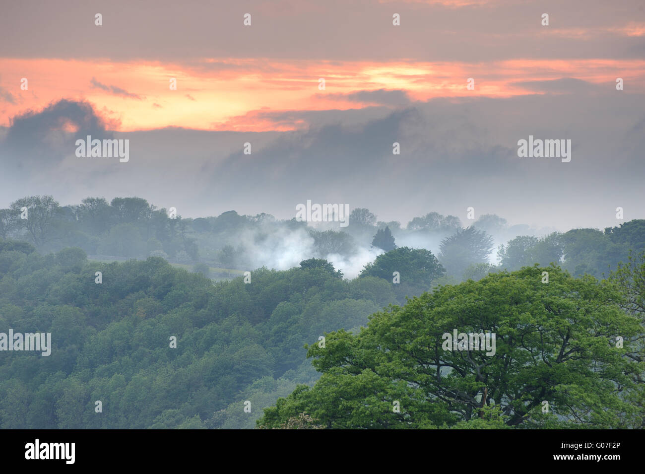 June fog hi-res stock photography and images - Alamy