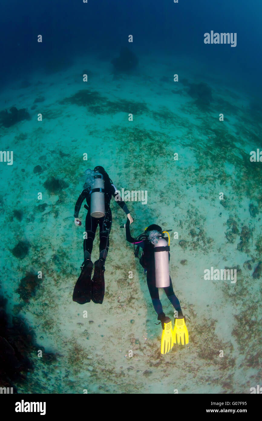 swimming off into the deep Stock Photo - Alamy