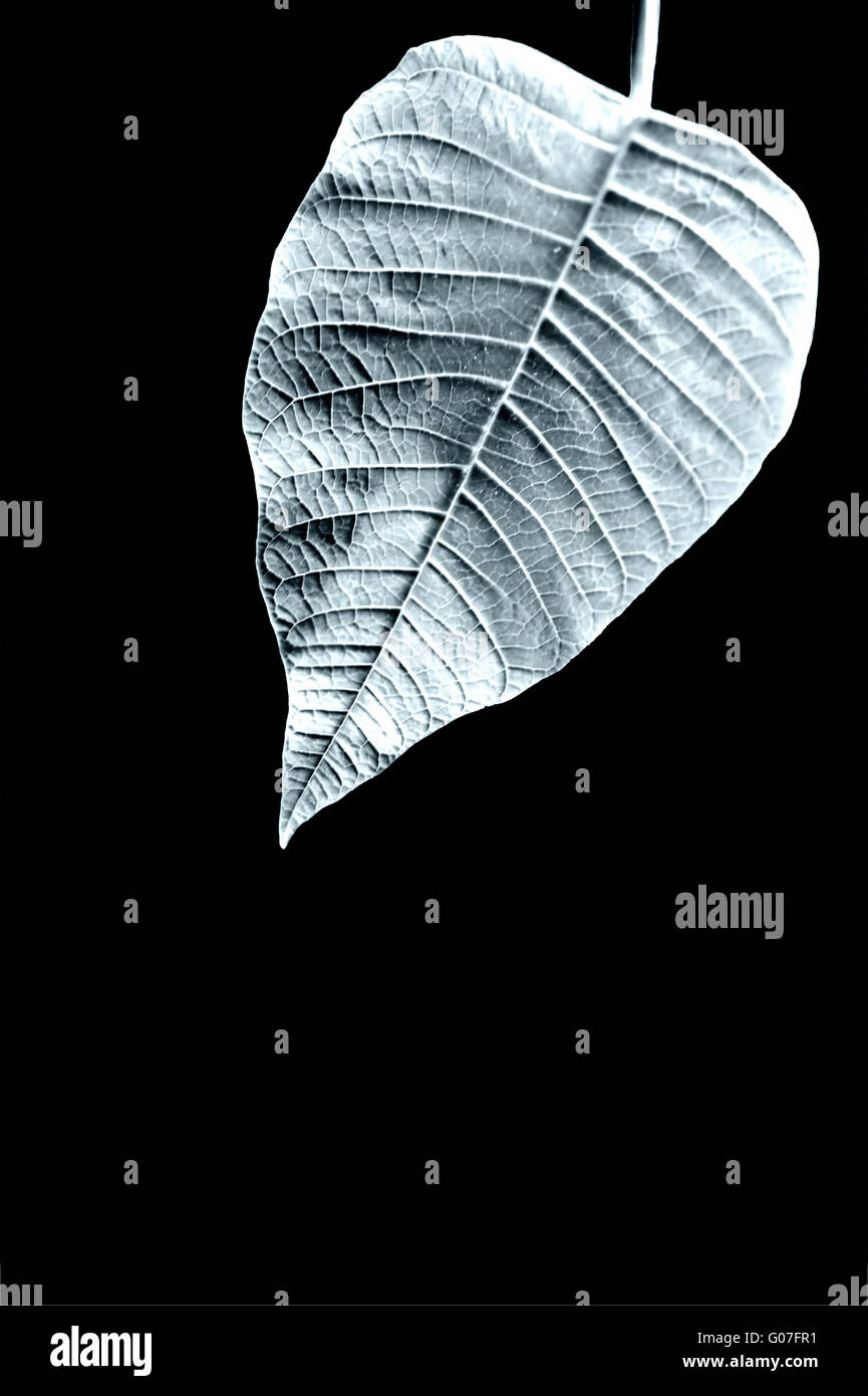 Plan structures hi-res stock photography and images - Alamy