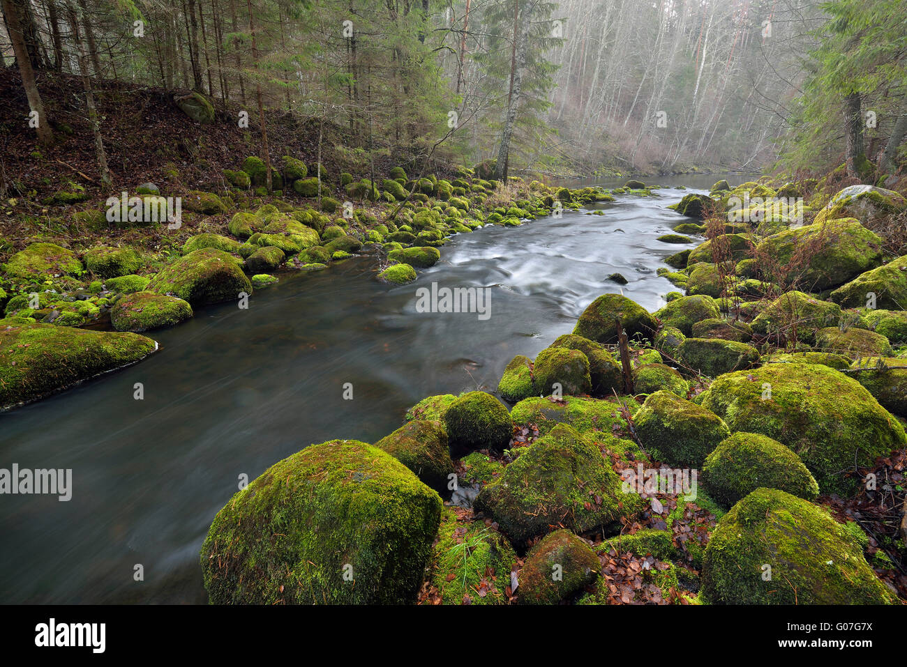 Rocks on the river bank Stock Photo - Alamy
