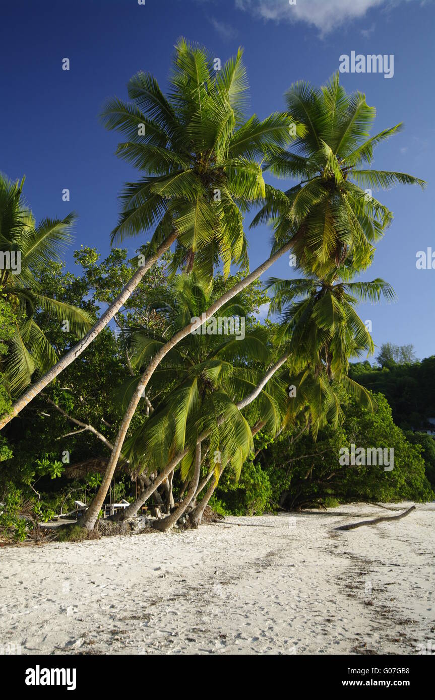 Relax the seychelles hi-res stock photography and images - Alamy
