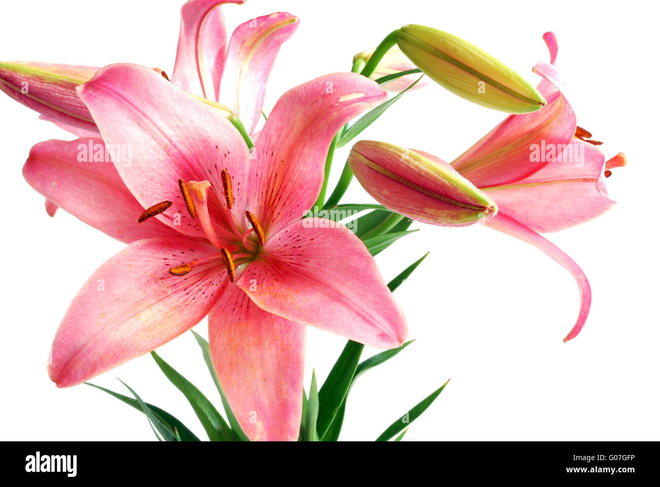 Lily bouquet hi-res stock photography and images - Alamy