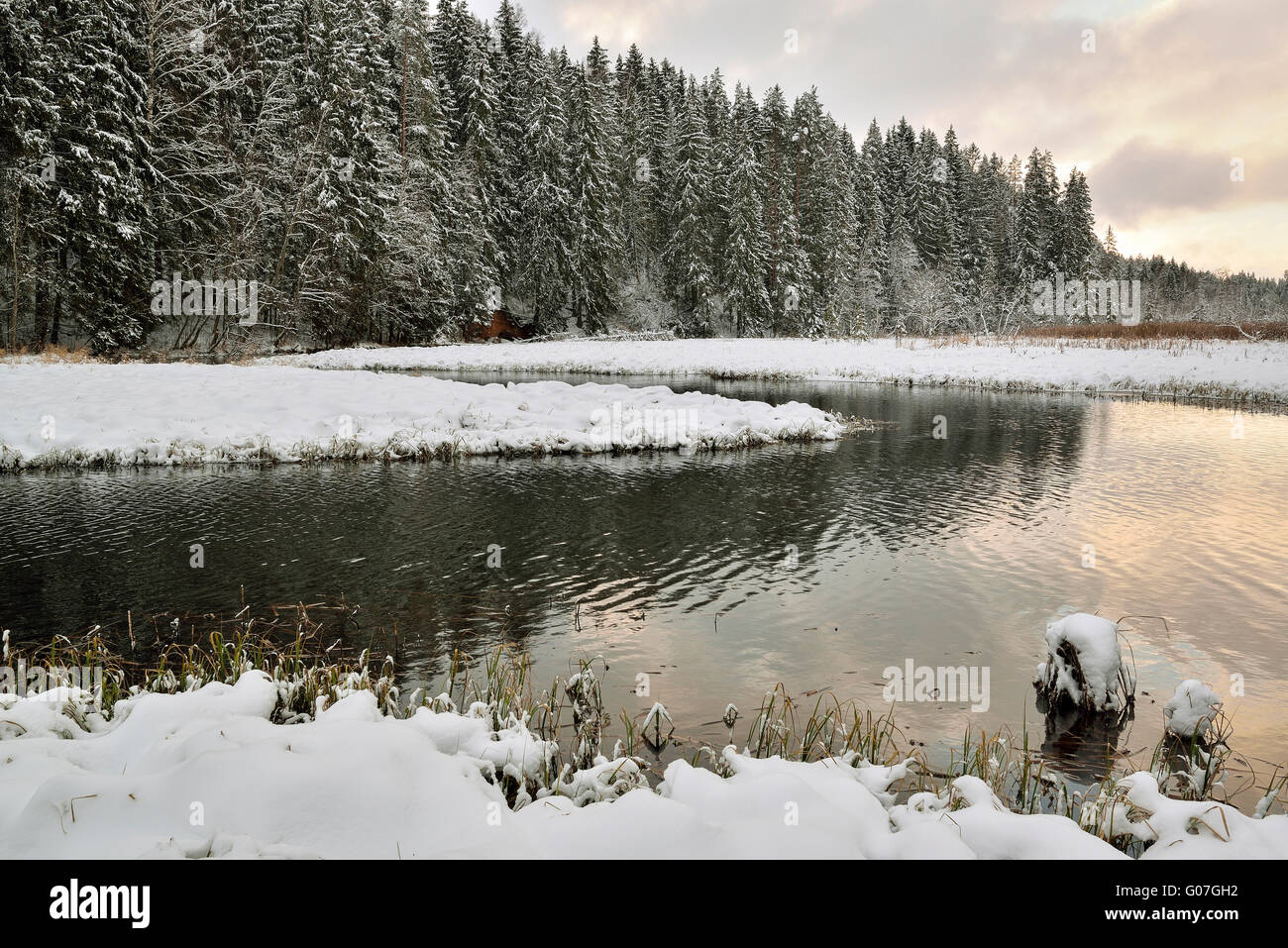 Ahja hi-res stock photography and images - Alamy