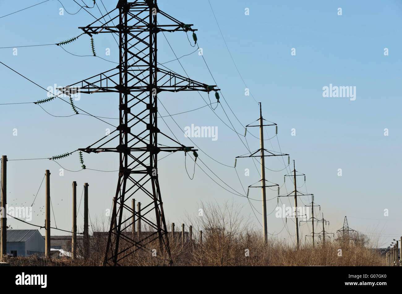 Electric blue back view hi-res stock photography and images - Alamy