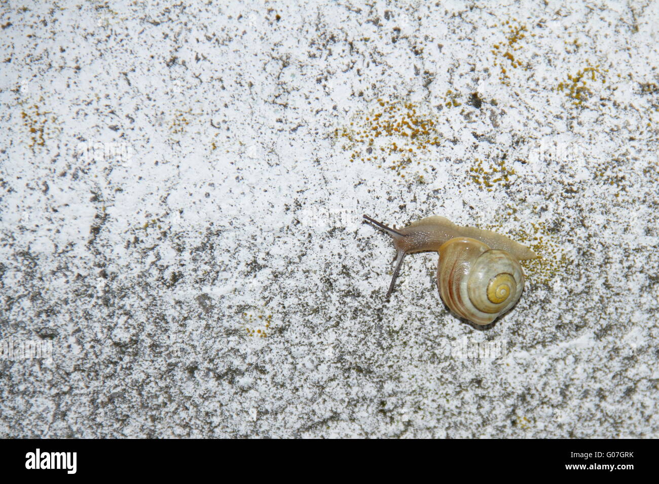 Little crawler hi-res stock photography and images - Alamy