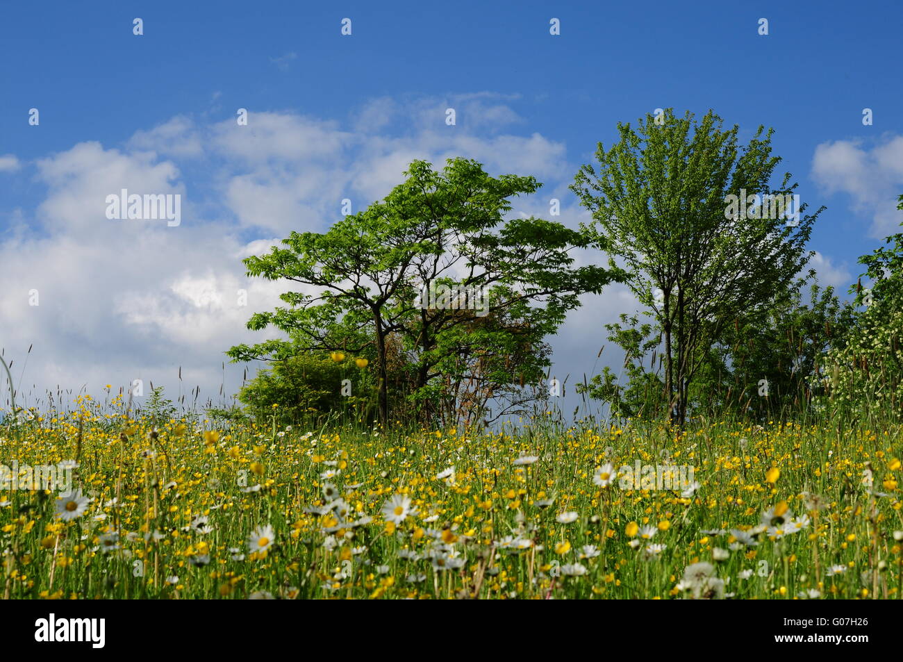 Kalkalpen spring hi-res stock photography and images - Alamy