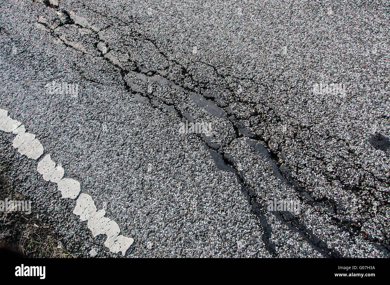 Freezing damage hi-res stock photography and images - Alamy