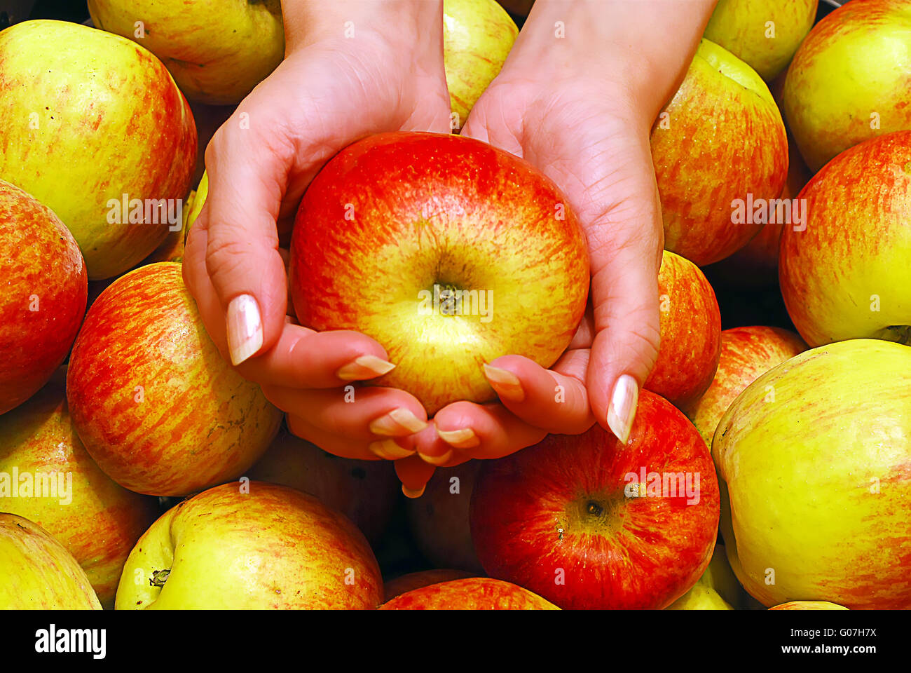 Human hands holding apples hi-res stock photography and images - Alamy