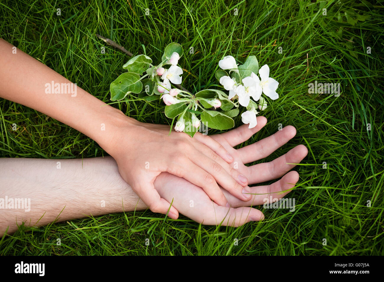 Woman hands touching grass hi-res stock photography and images - Alamy