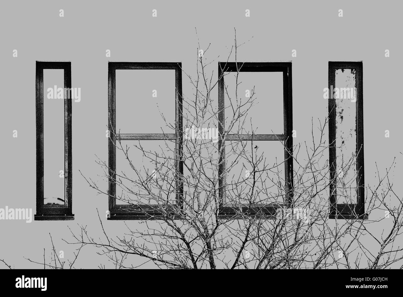 Trees window hi-res stock photography and images - Alamy