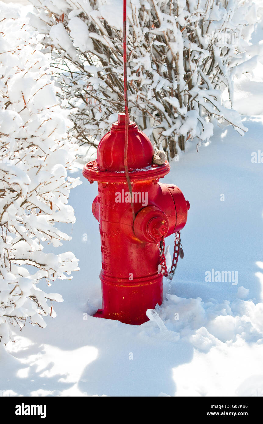 Red fire hydrant in snow hi-res stock photography and images - Alamy