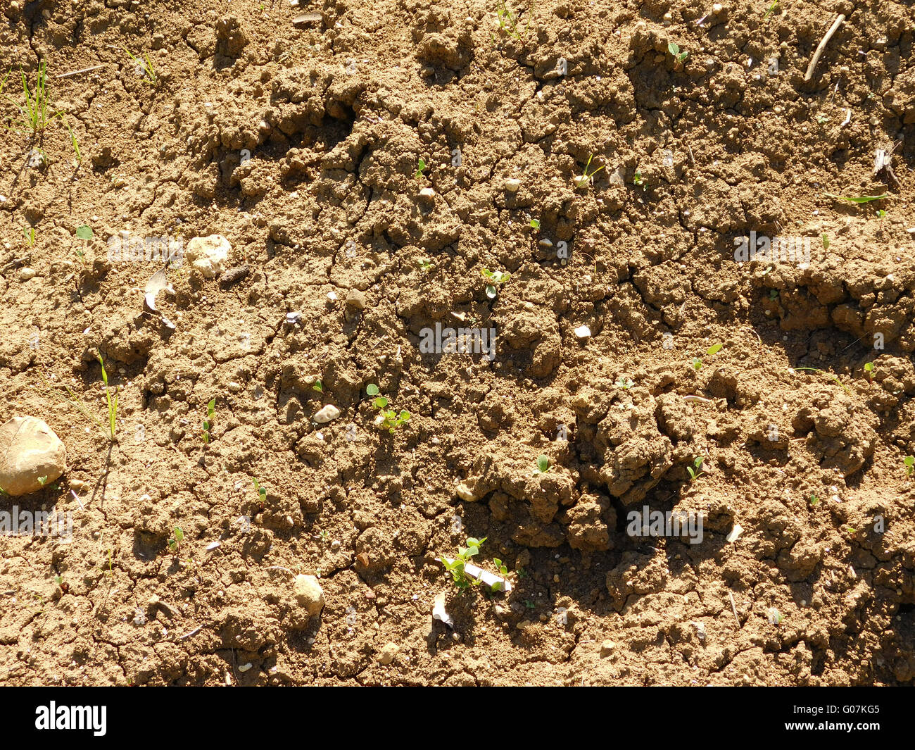 texture of land Stock Photo - Alamy