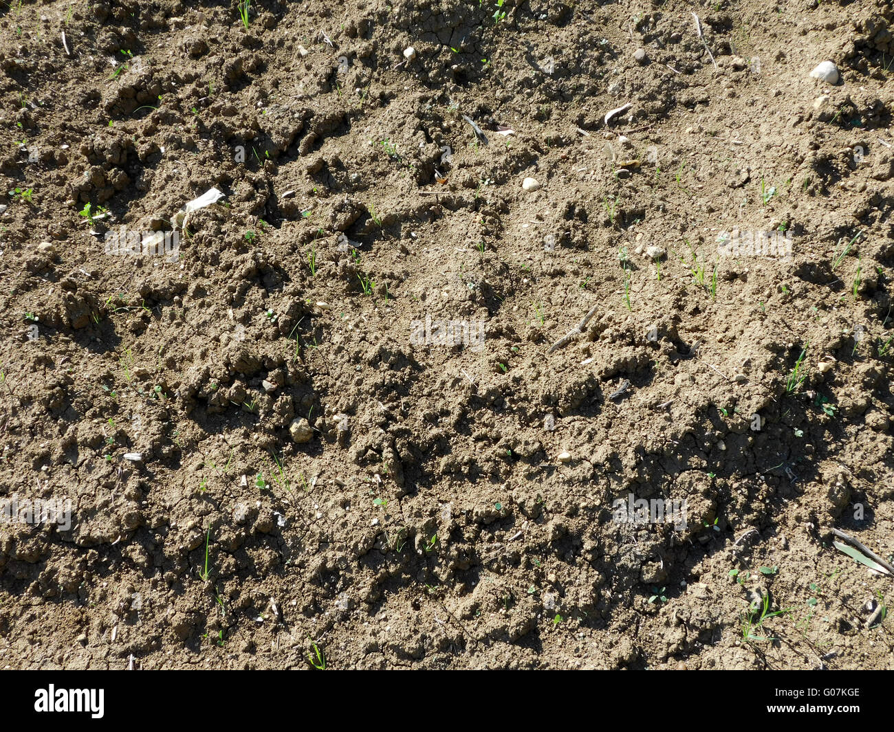 texture of land Stock Photo - Alamy
