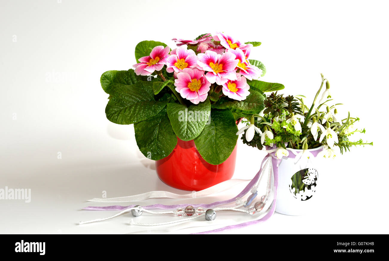 Decorative spring flowers Stock Photo - Alamy