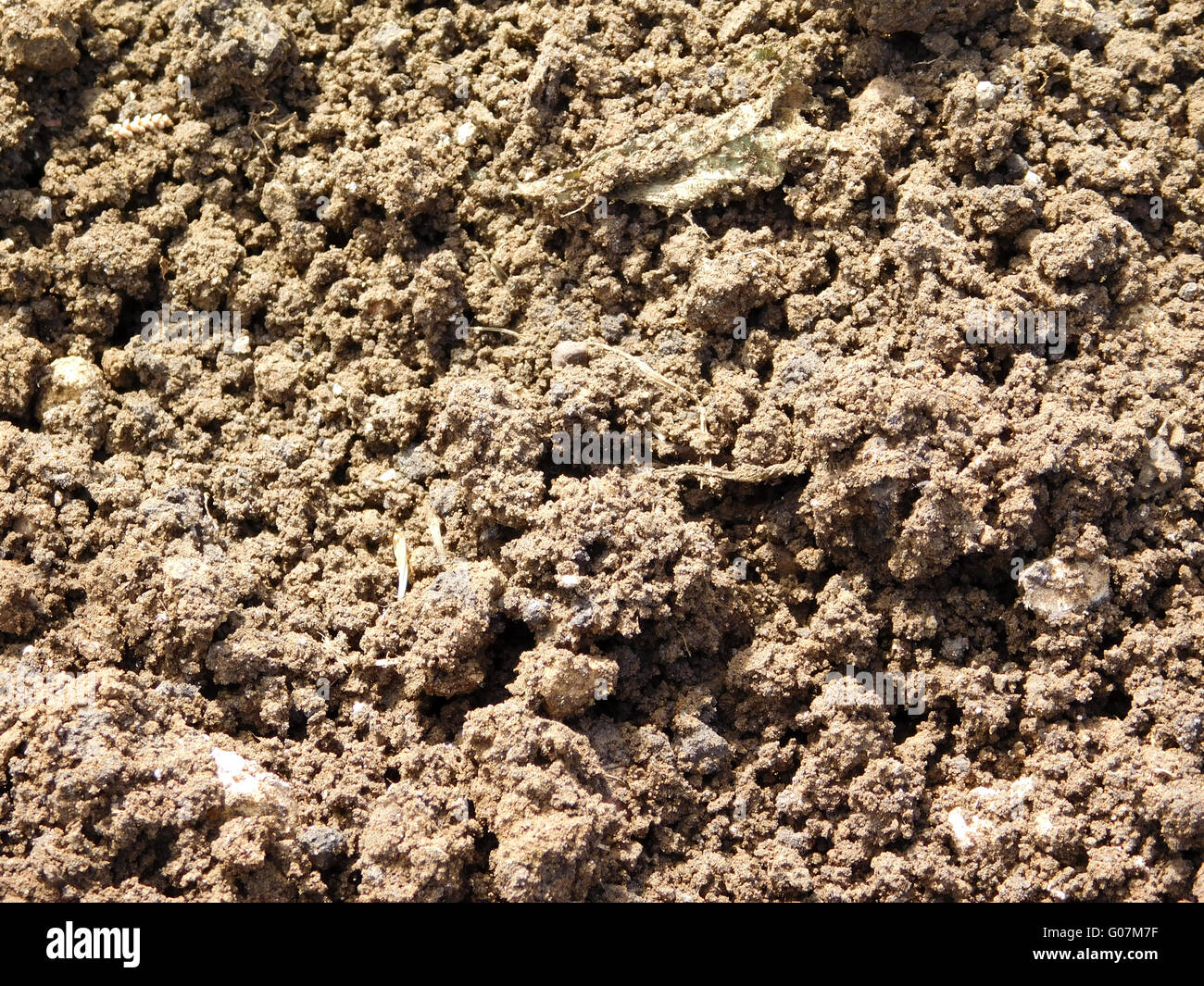 texture of land Stock Photo - Alamy