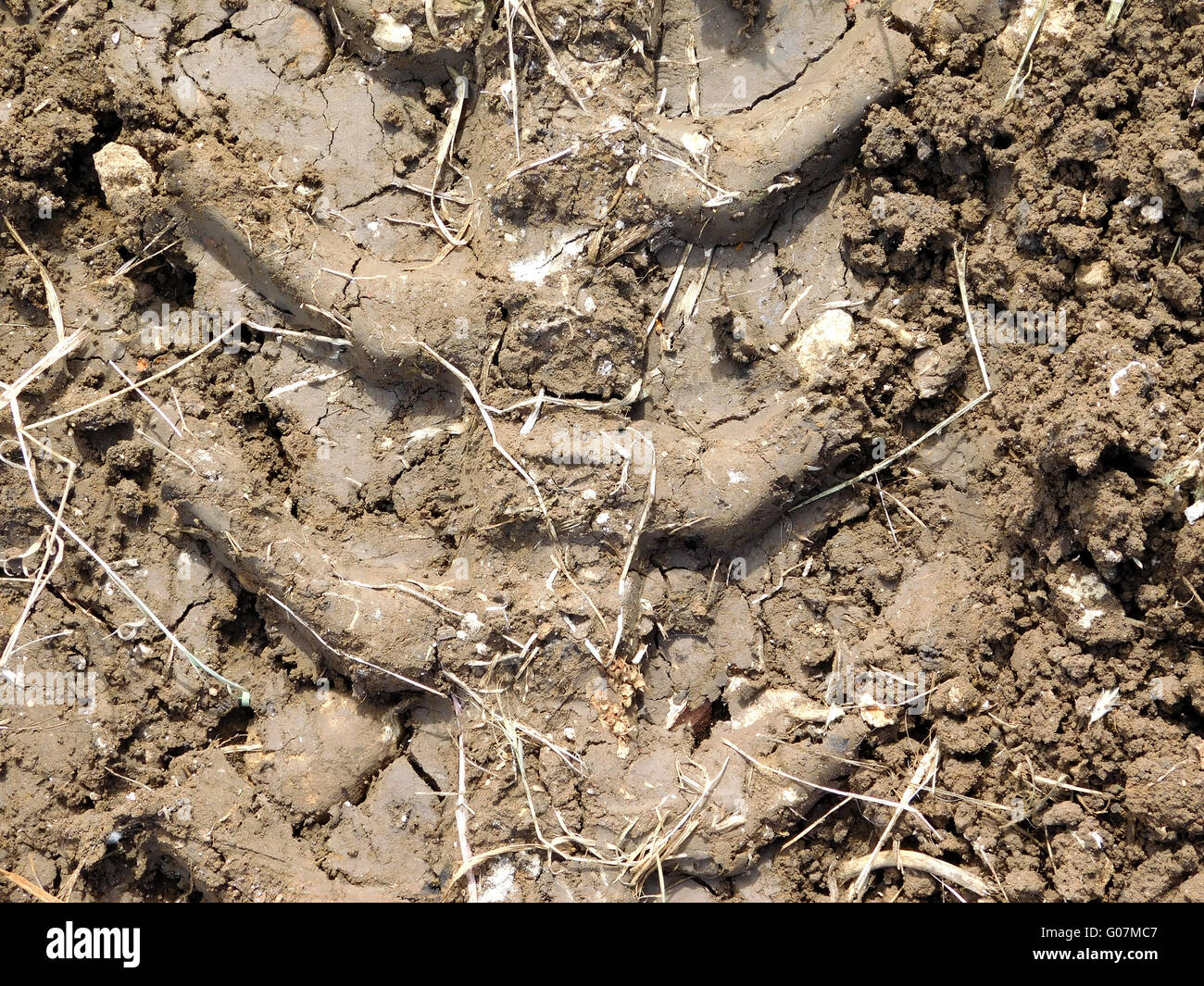 texture of land Stock Photo - Alamy