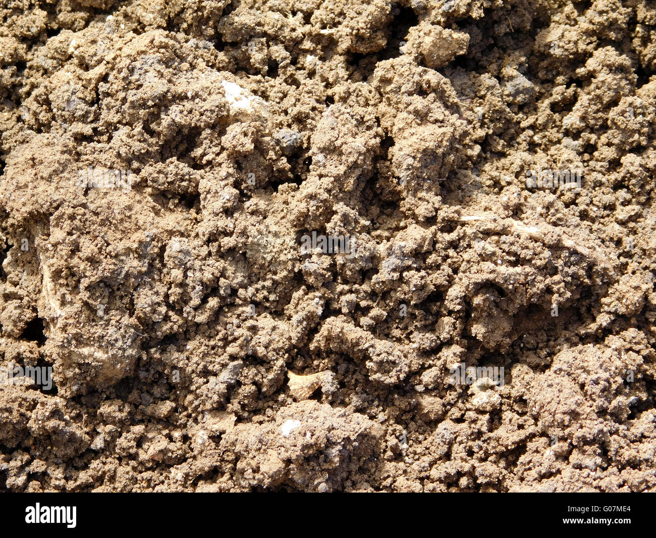 texture of land Stock Photo - Alamy