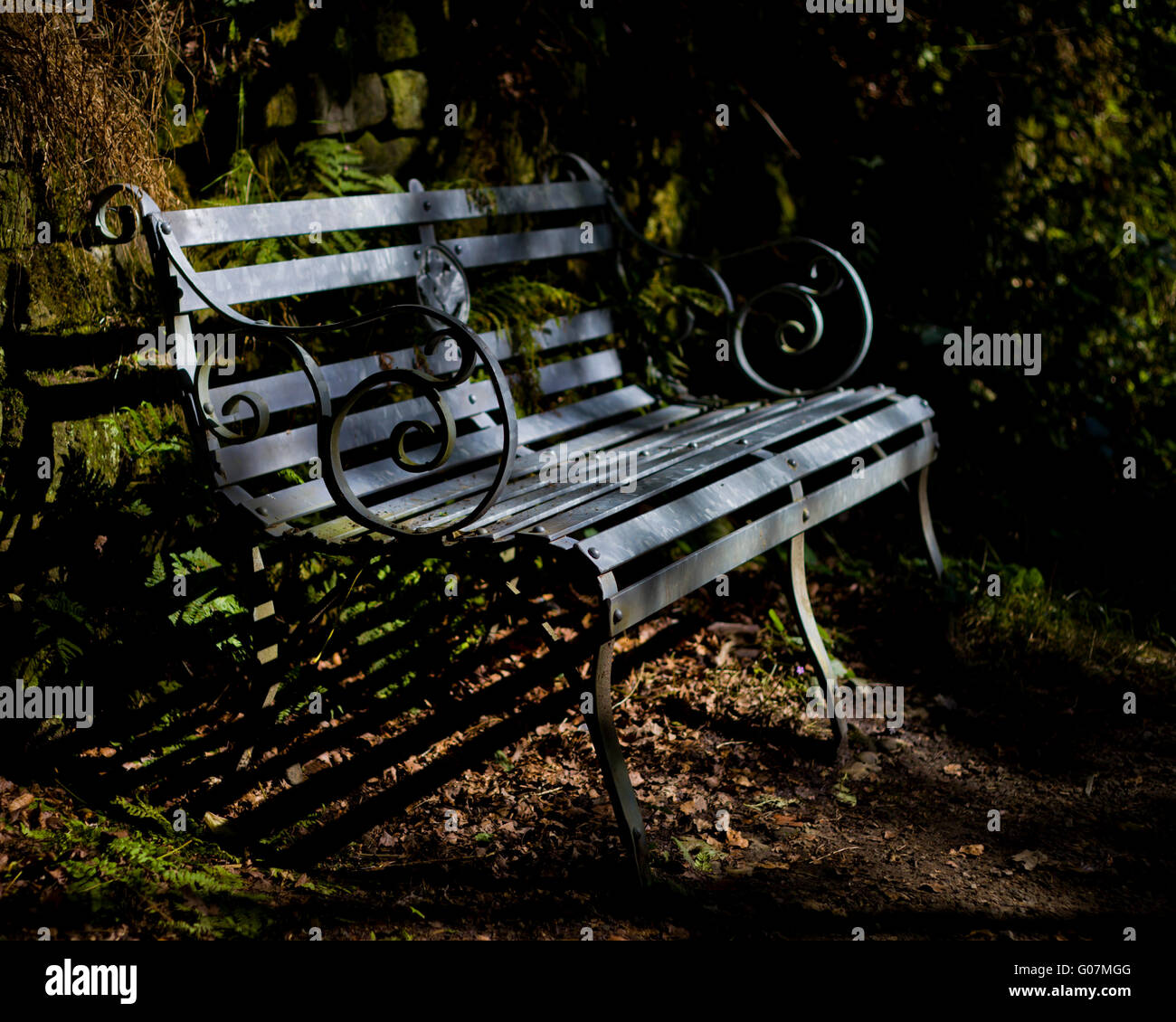 An metal bench in a shaded spot in woods, Yorkshire England Stock Photo ...