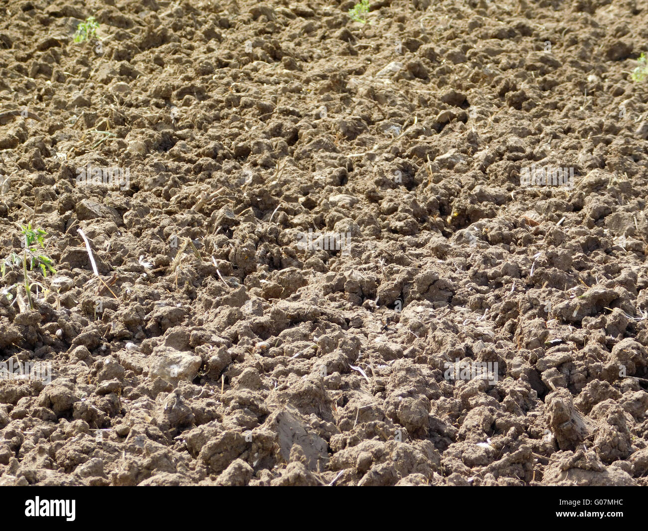 texture of land Stock Photo - Alamy