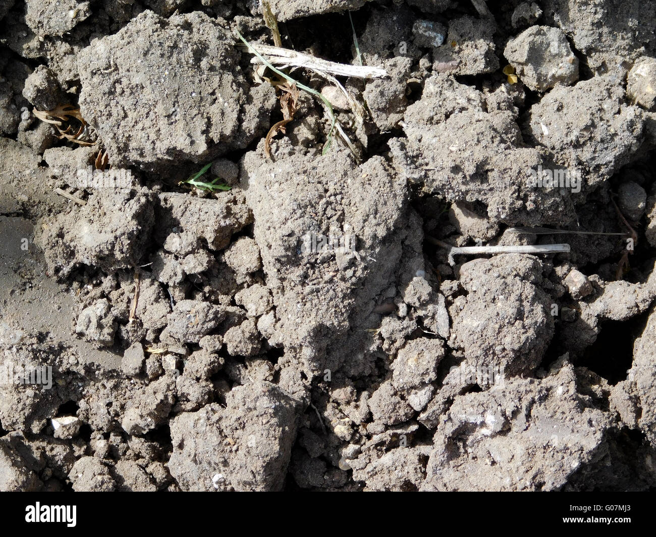 texture of land Stock Photo - Alamy